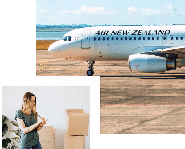 BIRD Express Logistics